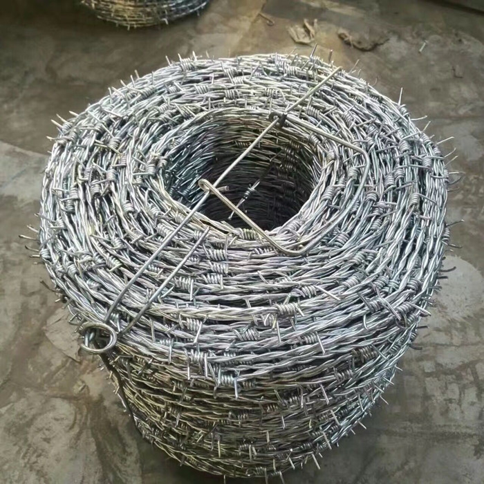 China Galvanized Barbed Wire Double Strand Reverse Twist manufacturers ...